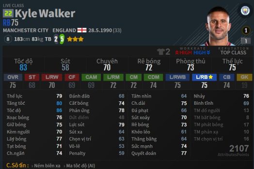 Top 10 hậu vệ cân lương FO4 có giá trị sử dụng cao nhất hiện nay ...